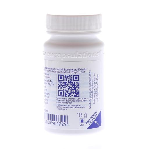 Pure Rhodiola Rosea | abilis.ch